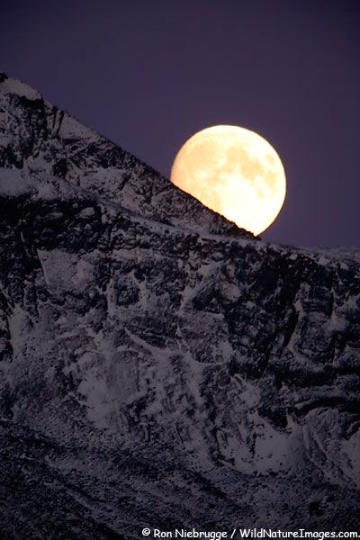 RETRO KIMMER'S BLOG: FULL MOON MARCH 16 2014