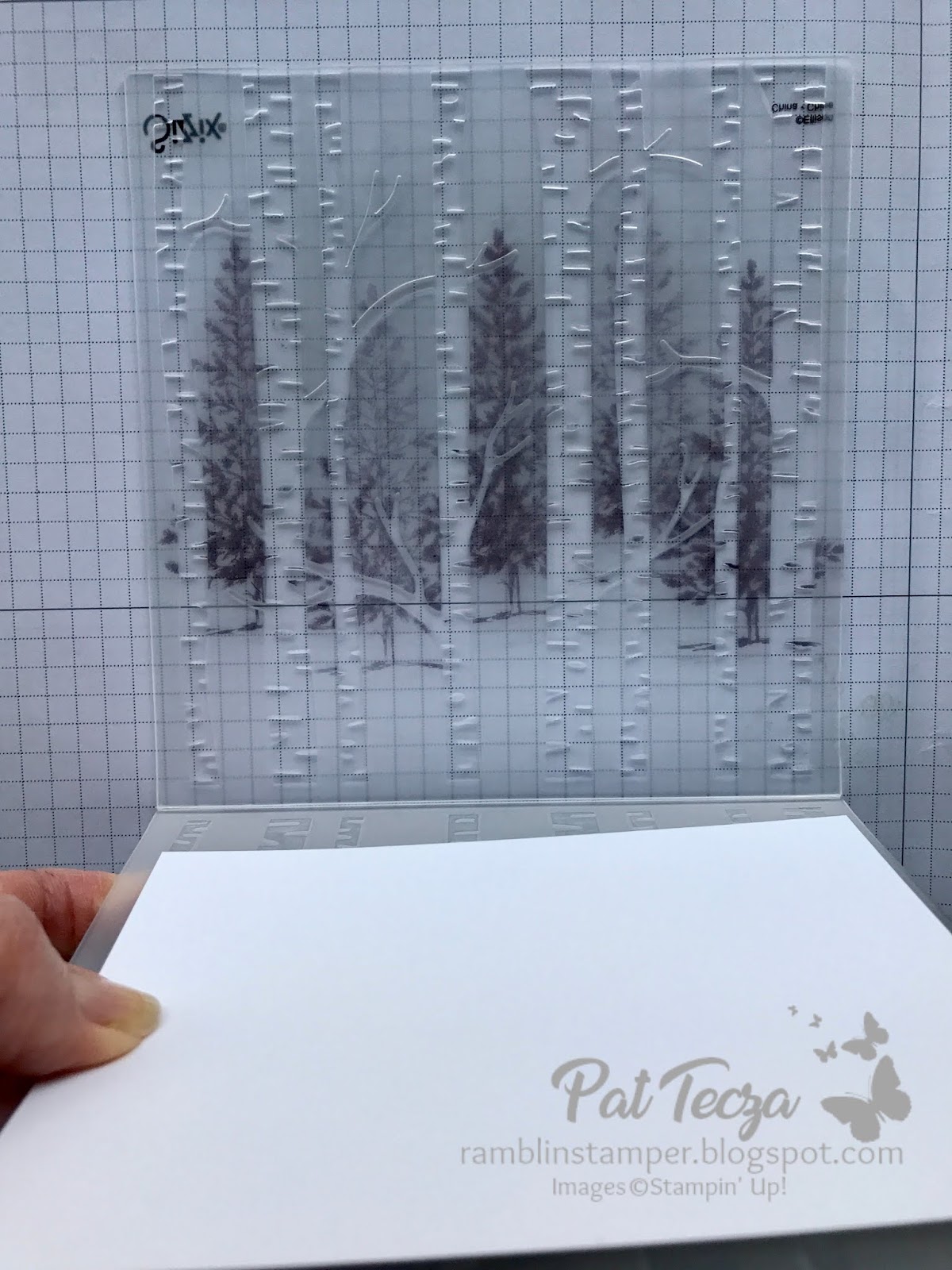Ramblin' Stamper: Bringing Home the Tree - Fun Embossing Folder Tutorial