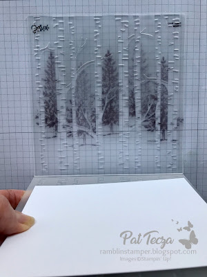 Ramblin' Stamper: Bringing Home the Tree - Fun Embossing Folder Tutorial