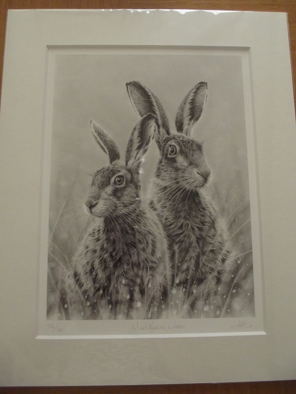 Through The Keyhole: Nolon Stacey