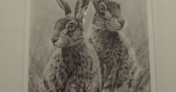 Through The Keyhole: Nolon Stacey