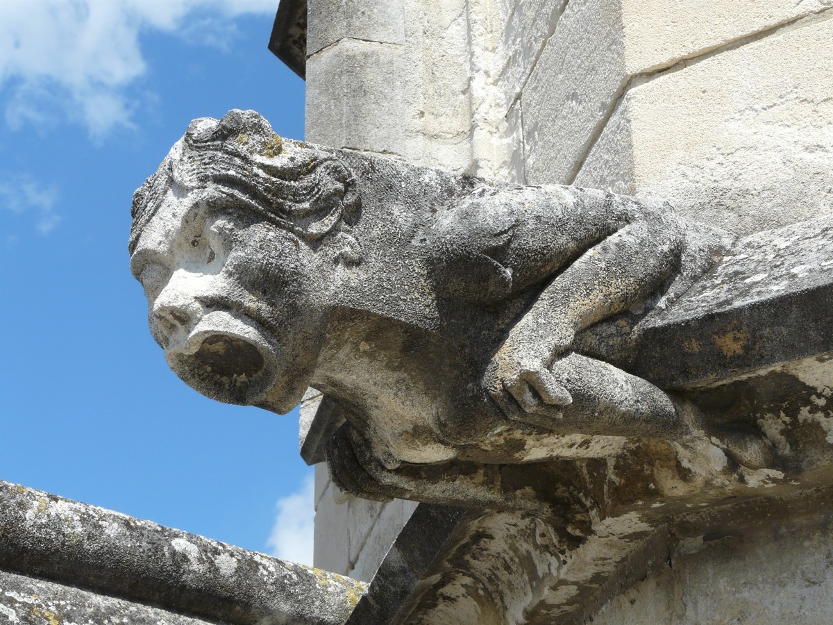 Montreur d'images: Bouille de gargouille