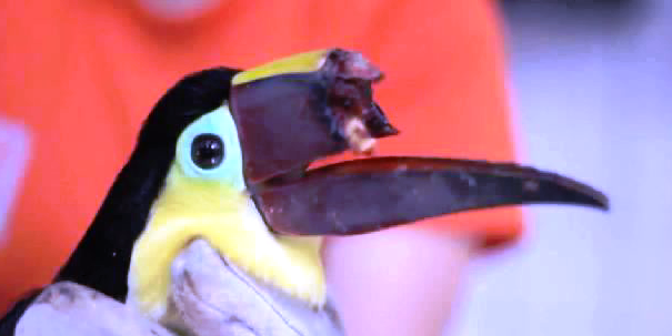 Wildlife Views: February 2015