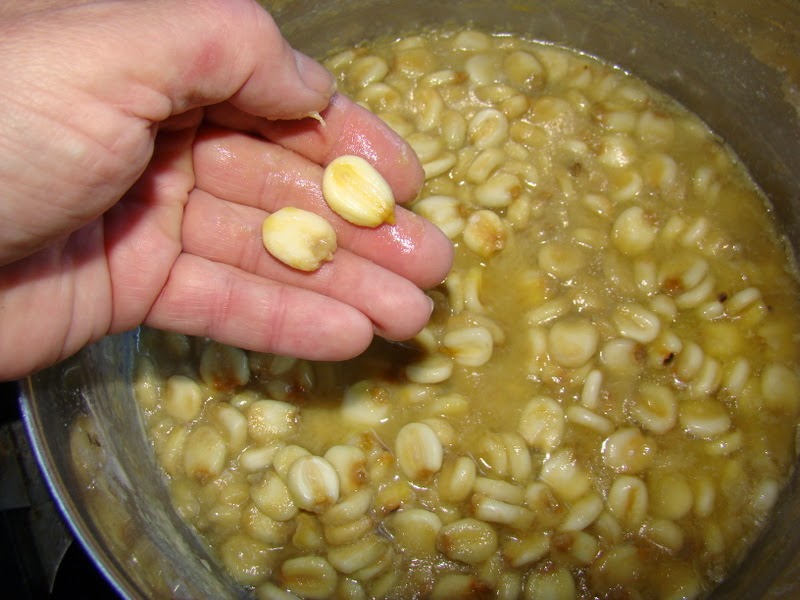 Nixtamalización del maíz - Cocina y Thermomix - MundoRecetas.com