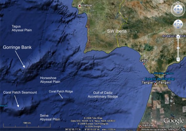 Oceanus Atlanticus: Banco Gorringe já é reserva Marinha