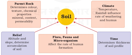 Land, Soil, Water, Natural Vegetation and Wildlife Resources (NCERT ...
