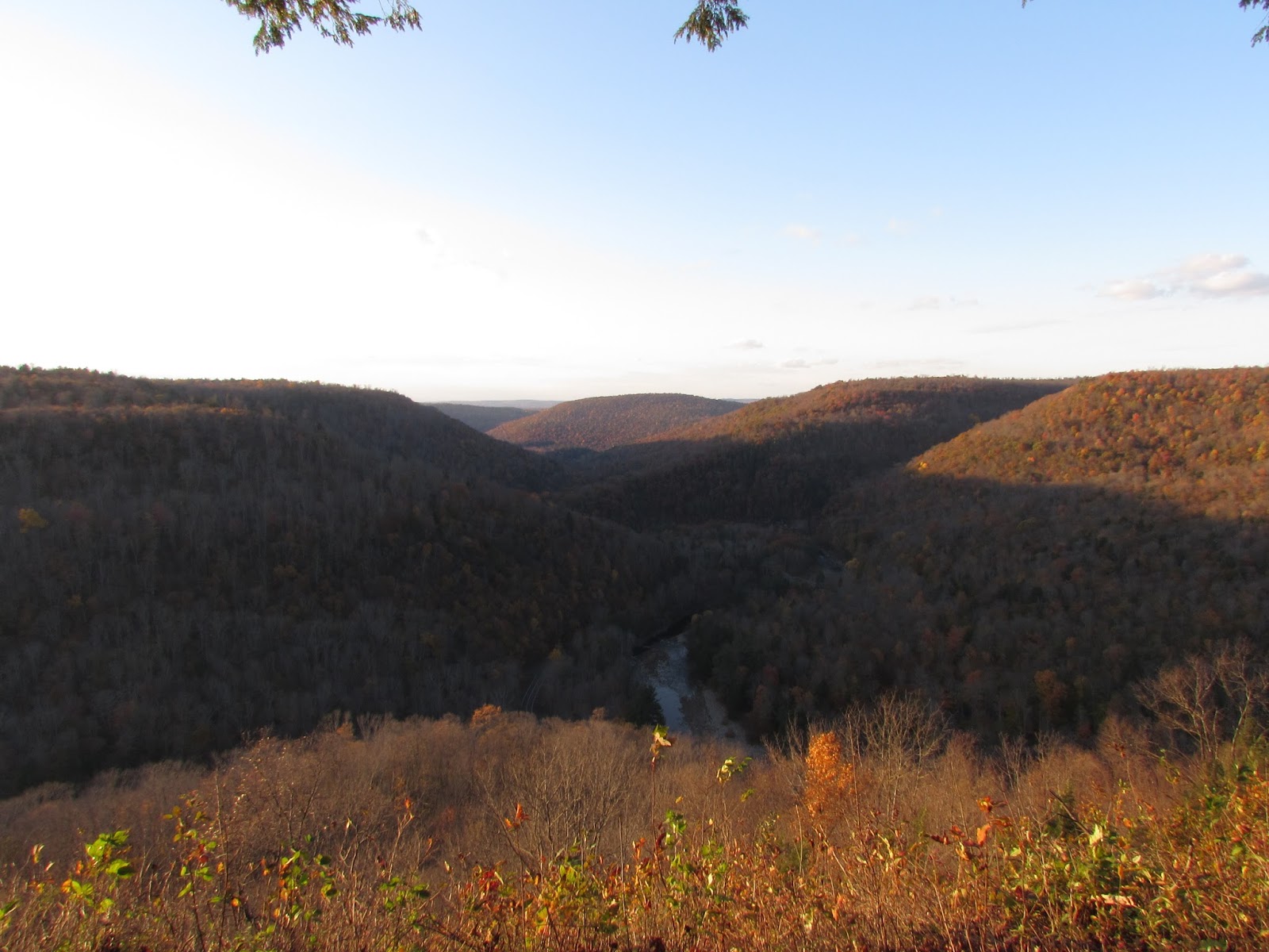 Loyalsock Canyon Vista, Worlds End State Park, Sullivan County, PA ...