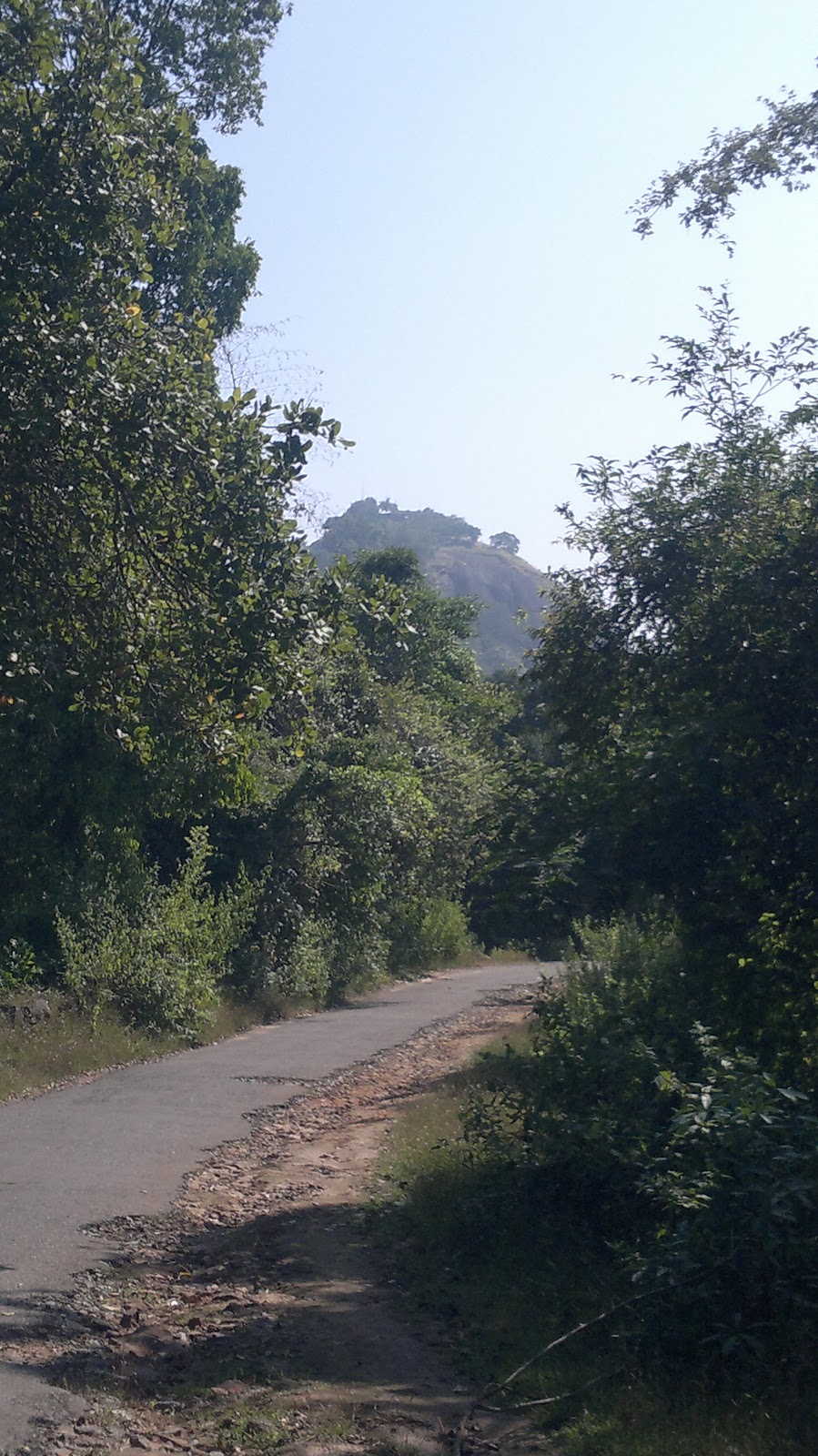 Divine Travels to Temples: Karinjeshwara Temple, Karinja