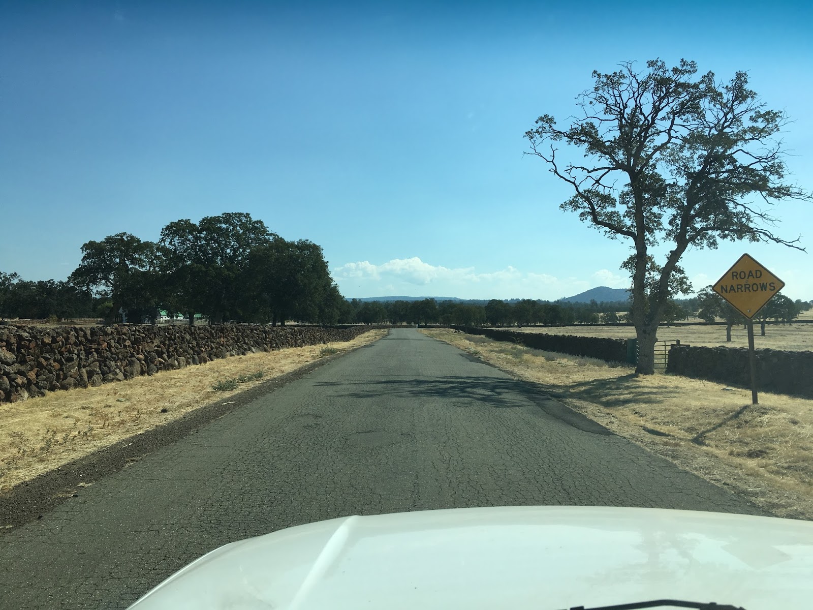 NEW LIFE ON THE FARM: HOME AGAIN JIGGITY JIG PART 1