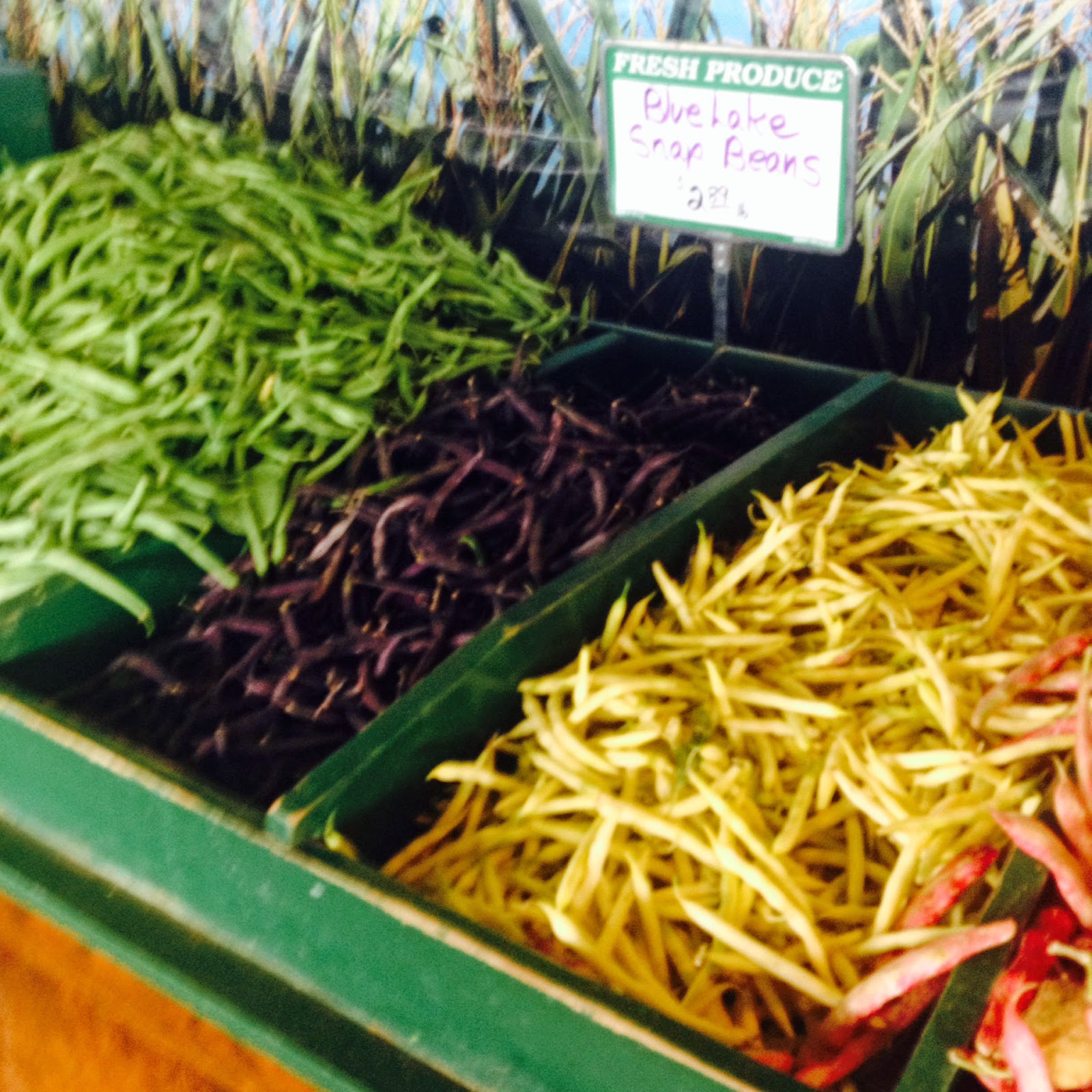 Soup Spice Everything Nice: Ed Lester Farms