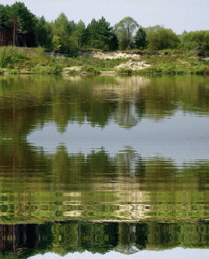 vavelhaber: ART AND NATURE GIF ANIMATIONS (1) ΦΥΣΗ ΚΑΙ ΤΕΧΝΗ