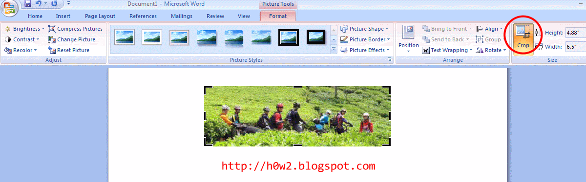 Cropping Picture In Ms Office Computer Smartphone Tips Trick cropping-picture-in-ms-office-computer-smartphone-tips-trick