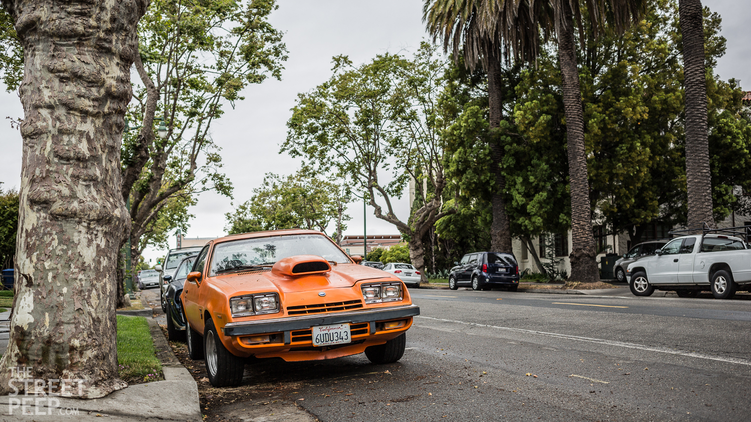 THE STREET PEEP: 1975 Chevrolet Monza 6.0 & 1981 Chevrolet Camaro Z28