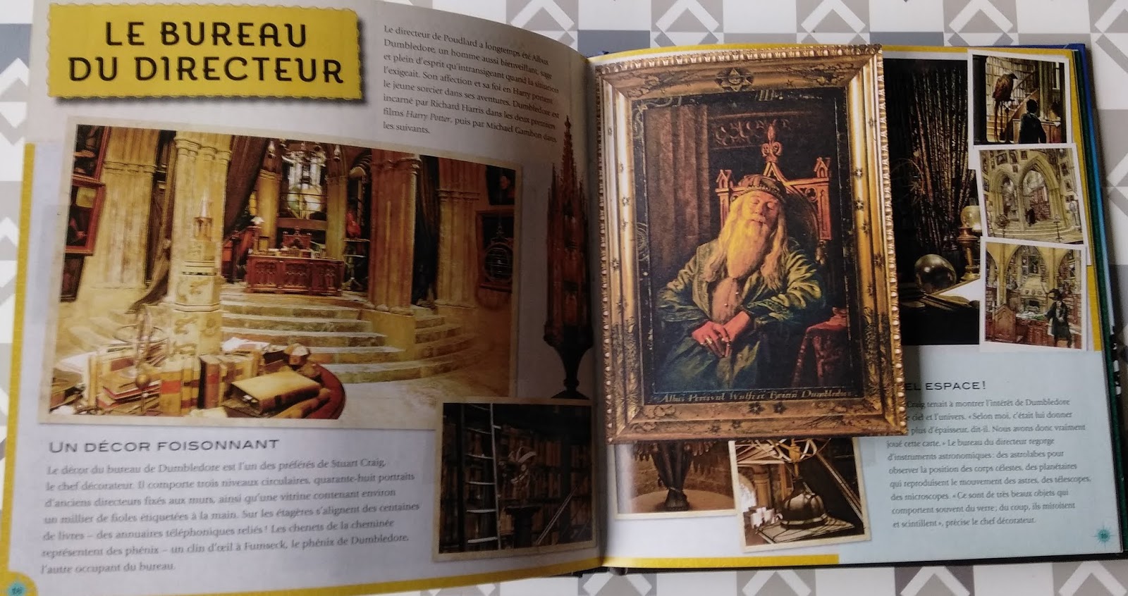 Lecture En Blog Le Carnet Magique Poudlard Collectif