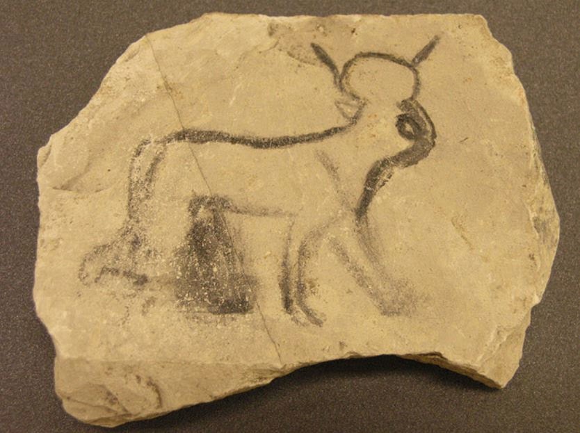 Imagenes de Egipto: ostraca