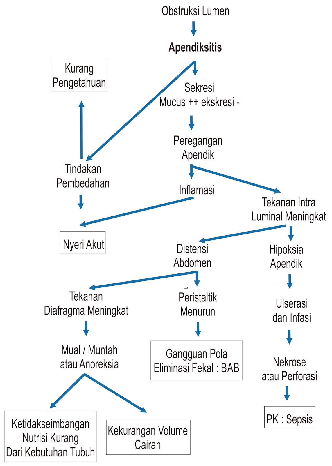 Asuhan Keperawatan (askep) Penyakit Apendisitis (usus buntu) - Share Your Information