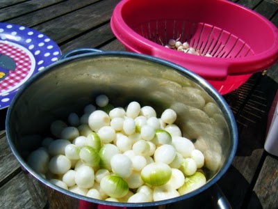 McTofu's: Amsterdamse uitjes inmaken