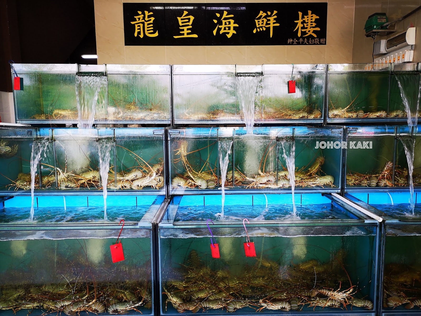 Super Lobster Restaurant a Worthy Alternative for Live Seafood in Sg ...