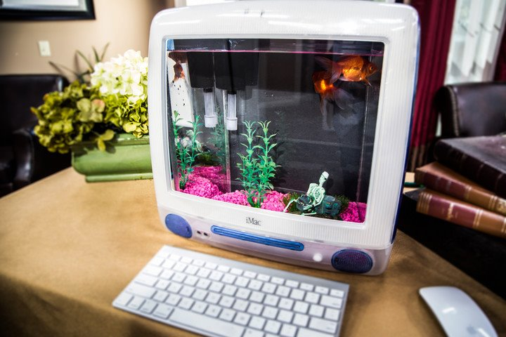 Imac G3 Fish Tank