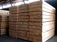The Mutare Times: Production resumes at Border Timbers