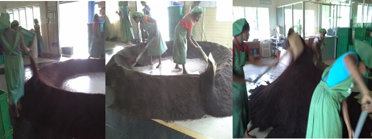 ISO 22000 Resource Center: Constraints and Compliances of Traceability ...