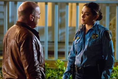 Steal This Review: Breaking Bad Spoiler Officer Hank