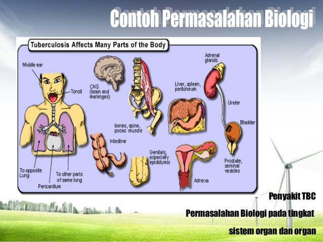 Materi Biologi Kelas X Semester 1 Tentang Ruang Lingkup Biologi ...