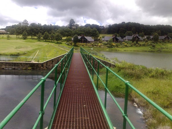 The Mutare Times: Troutbeck Nyanga Zimbabwe Eastern Highlands