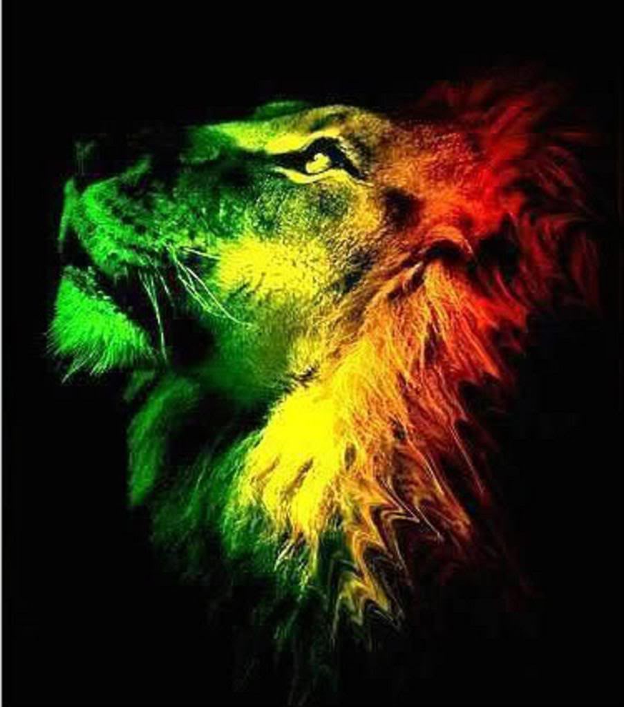 Koleksi Photo: RastaMan