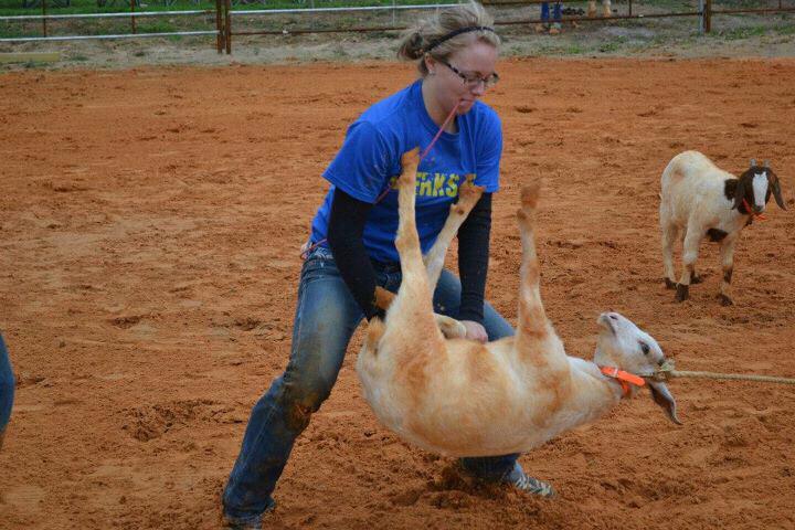 NONNA'S WORLD: GOAT TYING CLINIC