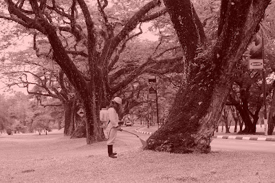 Taiping Photo Gallery