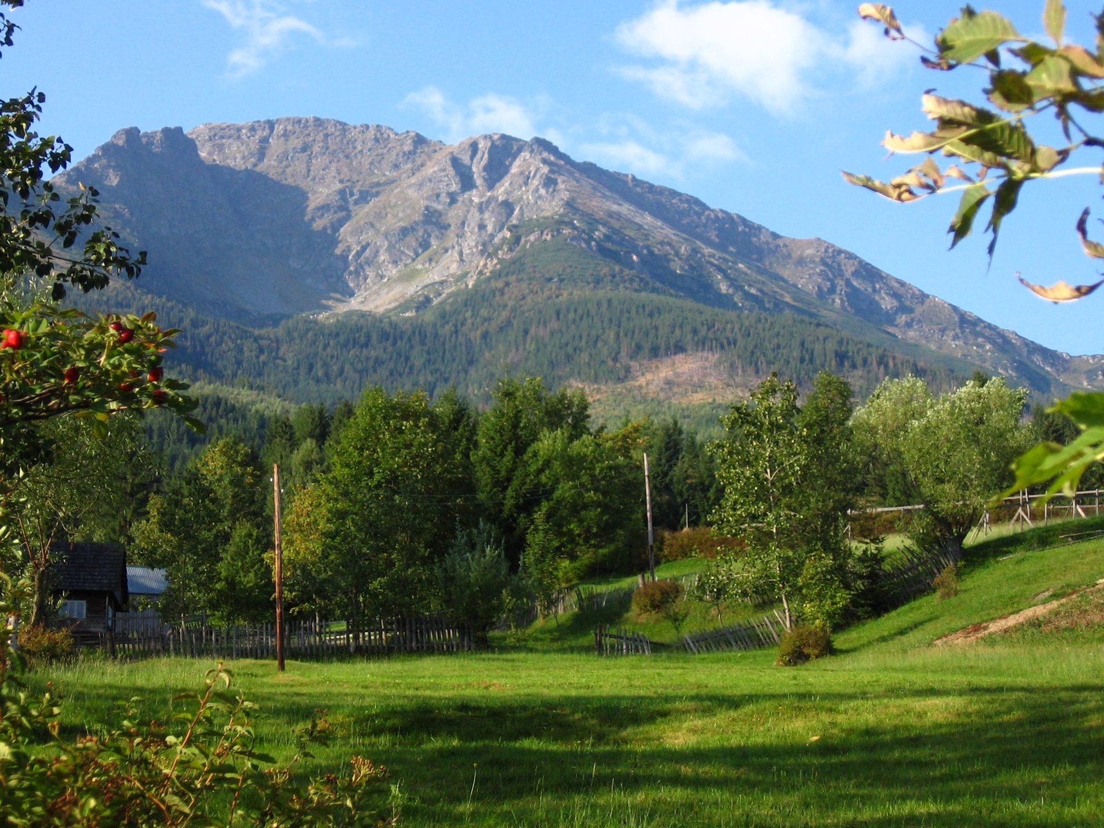 Romania Pitoreasca: Poze Muntii Carpati