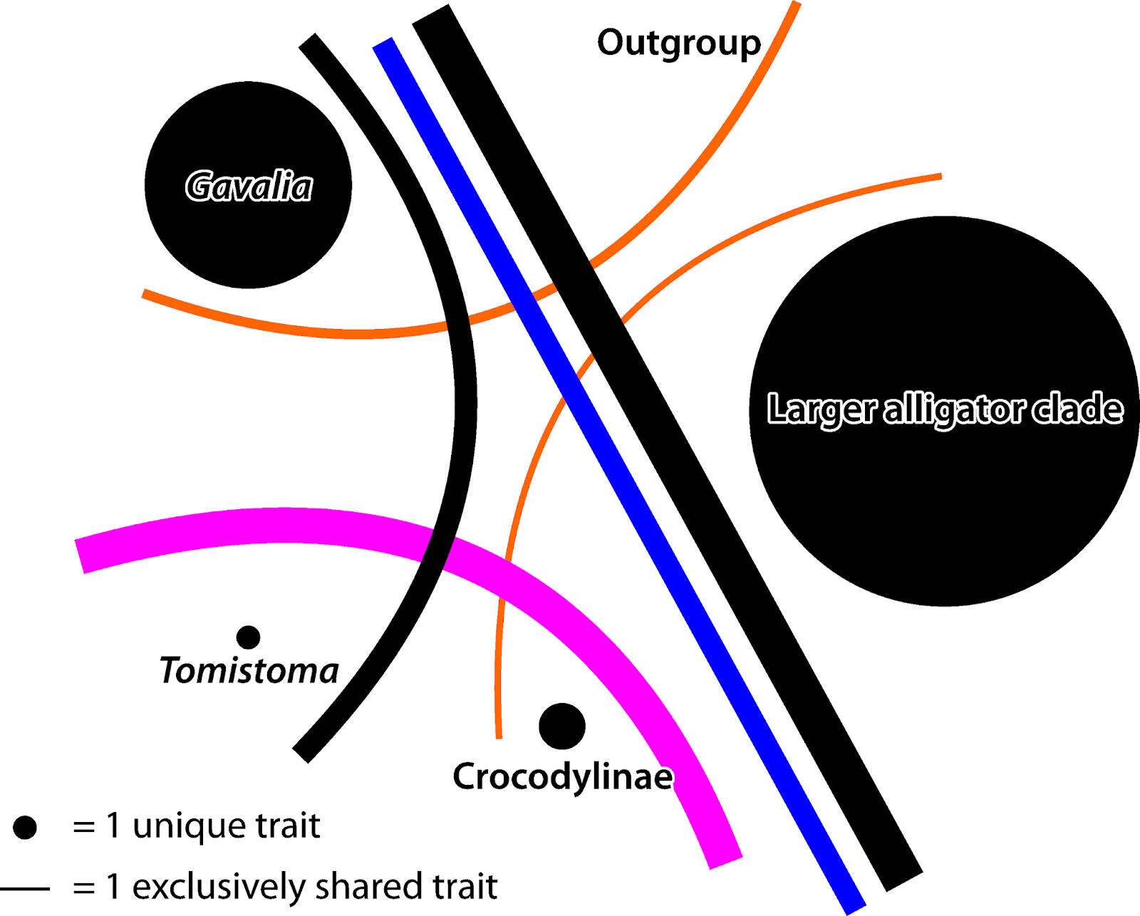 The Genealogical World of Phylogenetic Networks: Has homoiology been ...