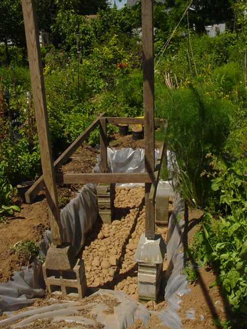 Slug Moat: Pond, Rainwater Catchment, & Protected Nursery ...