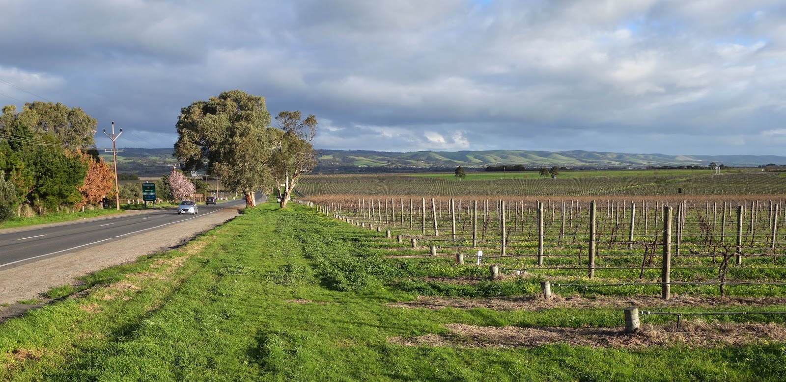 d r i n k s t e r: A WALK AROUND THE SALOPIAN INN