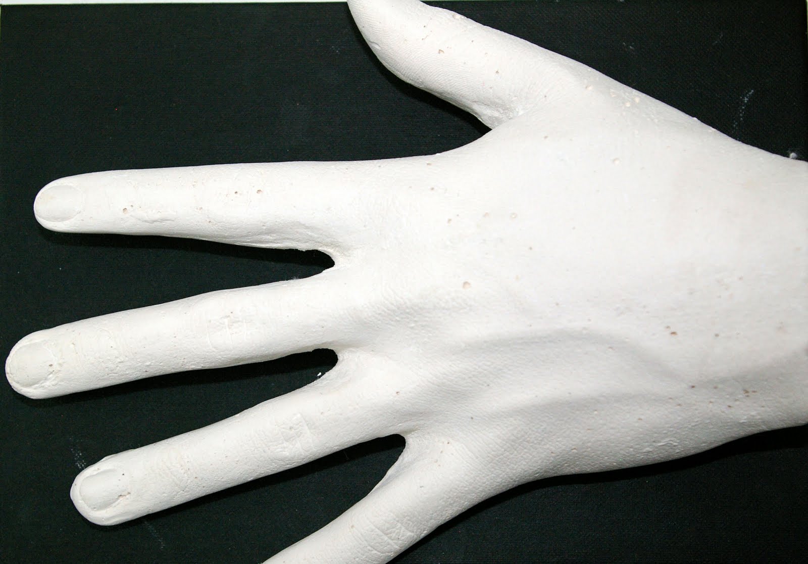 Plum Tree Illustration: Clay Organs