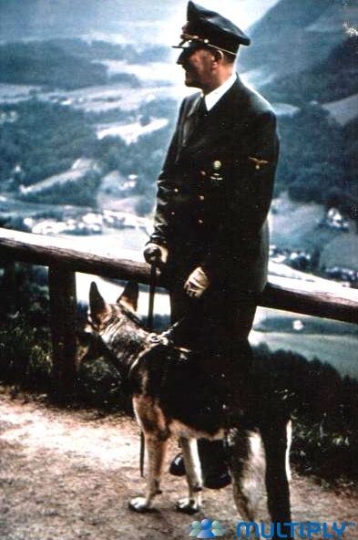 NAZI HOLOCAUST FILMS: HITLER Y LOS ANIMALES