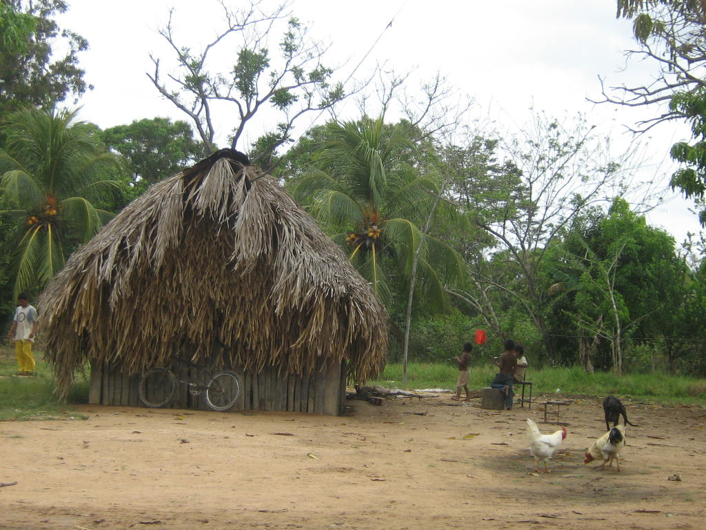 Indígenas de Venezuela: Los Barís