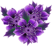 FLORILE PASIUNII: FASCINATIA FLORILOR !(imagini)