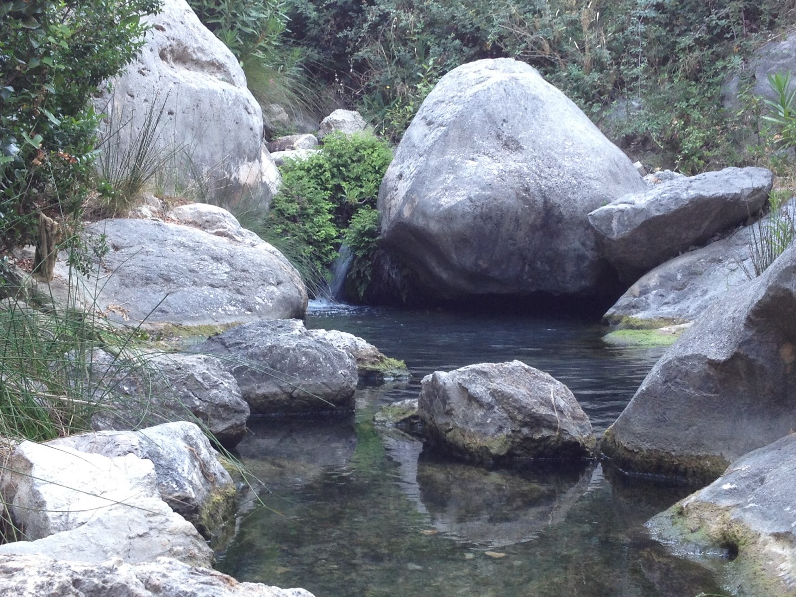 Caminar per Sella: Ruta infantil: Sella-Font Major-Tollet de la V