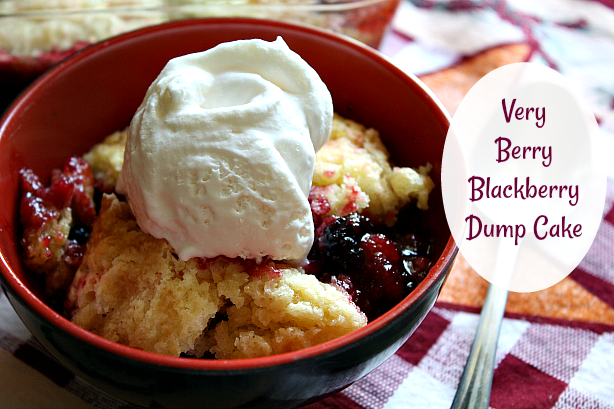 Very Berry Blackberry Dump Cake — Mommy's Kitchen