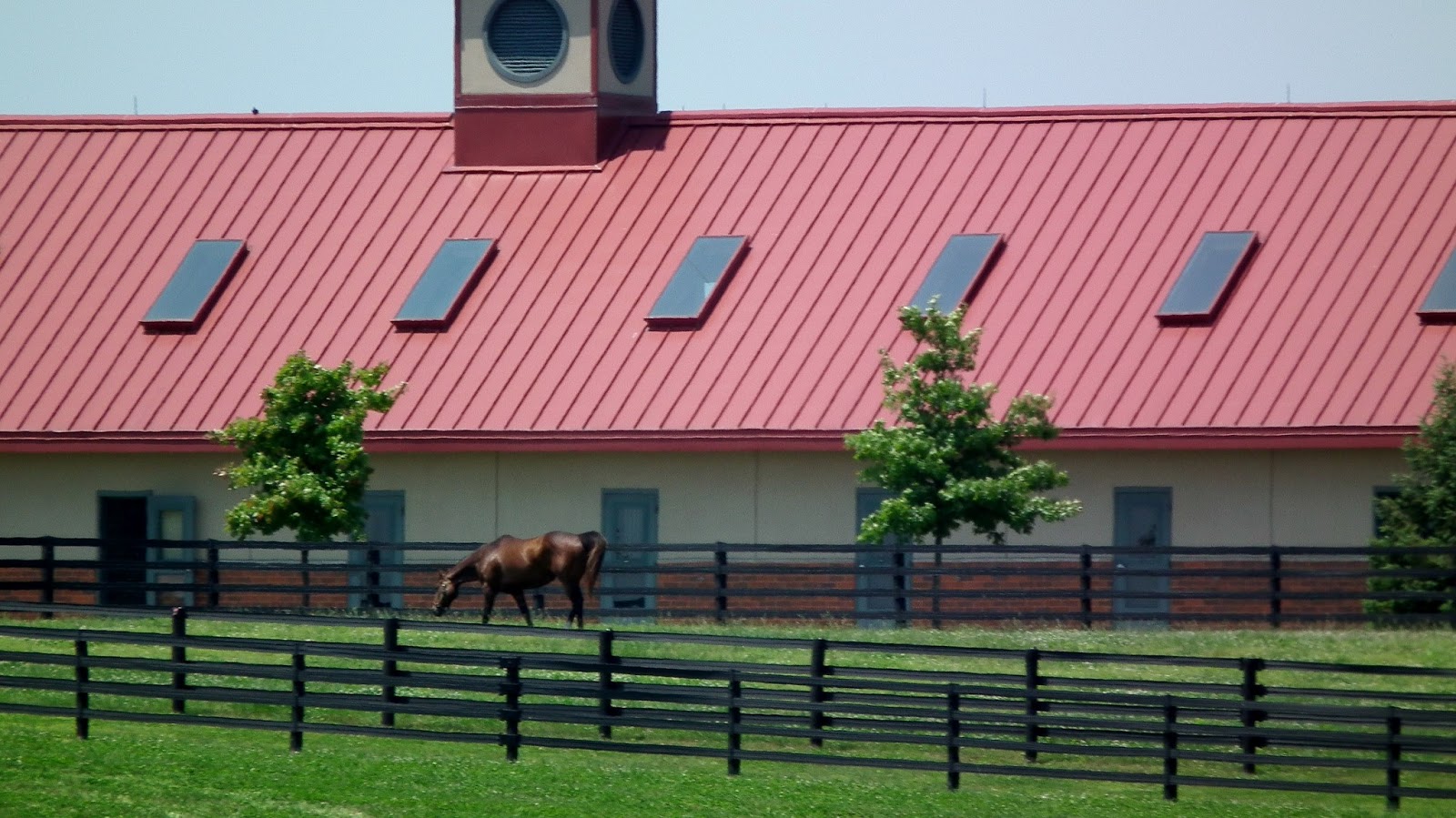 Photos and posts by Maurice B. Quirin: Lexington's Darley Jonabell Farm