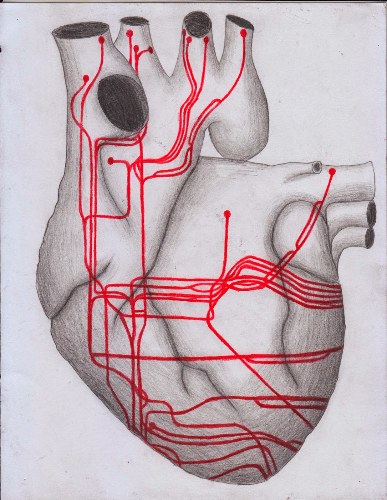 Oliver's Parson's portfolio