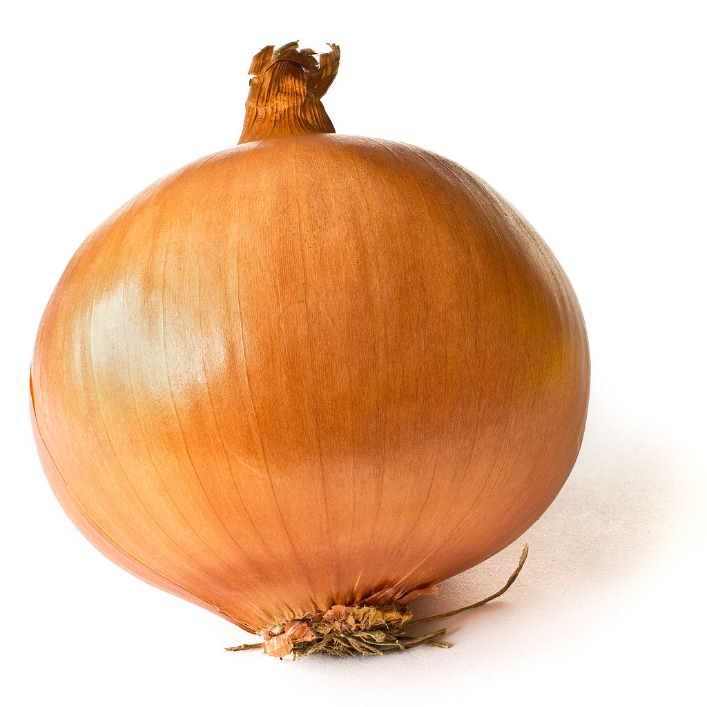 Cebola é a dica de produto desta semana (27/10)