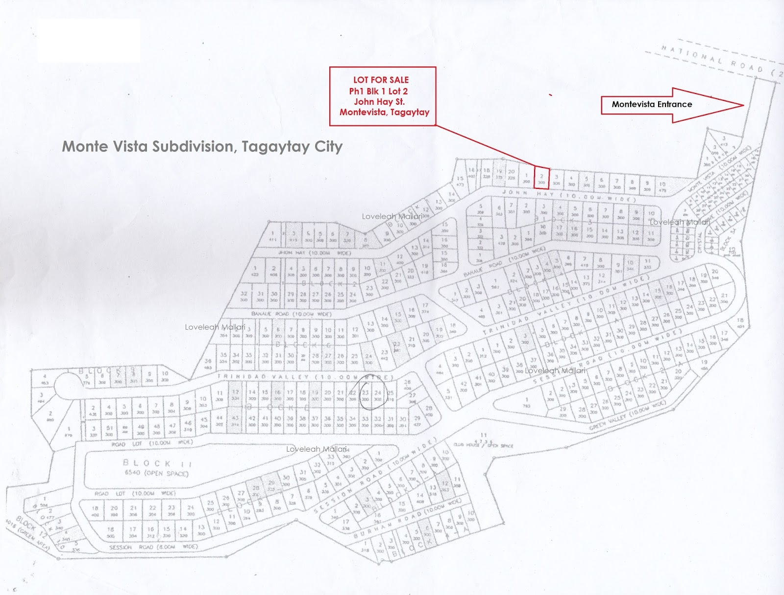Pinoy Property For You: Monte Vista Subdivision, Tagaytay City