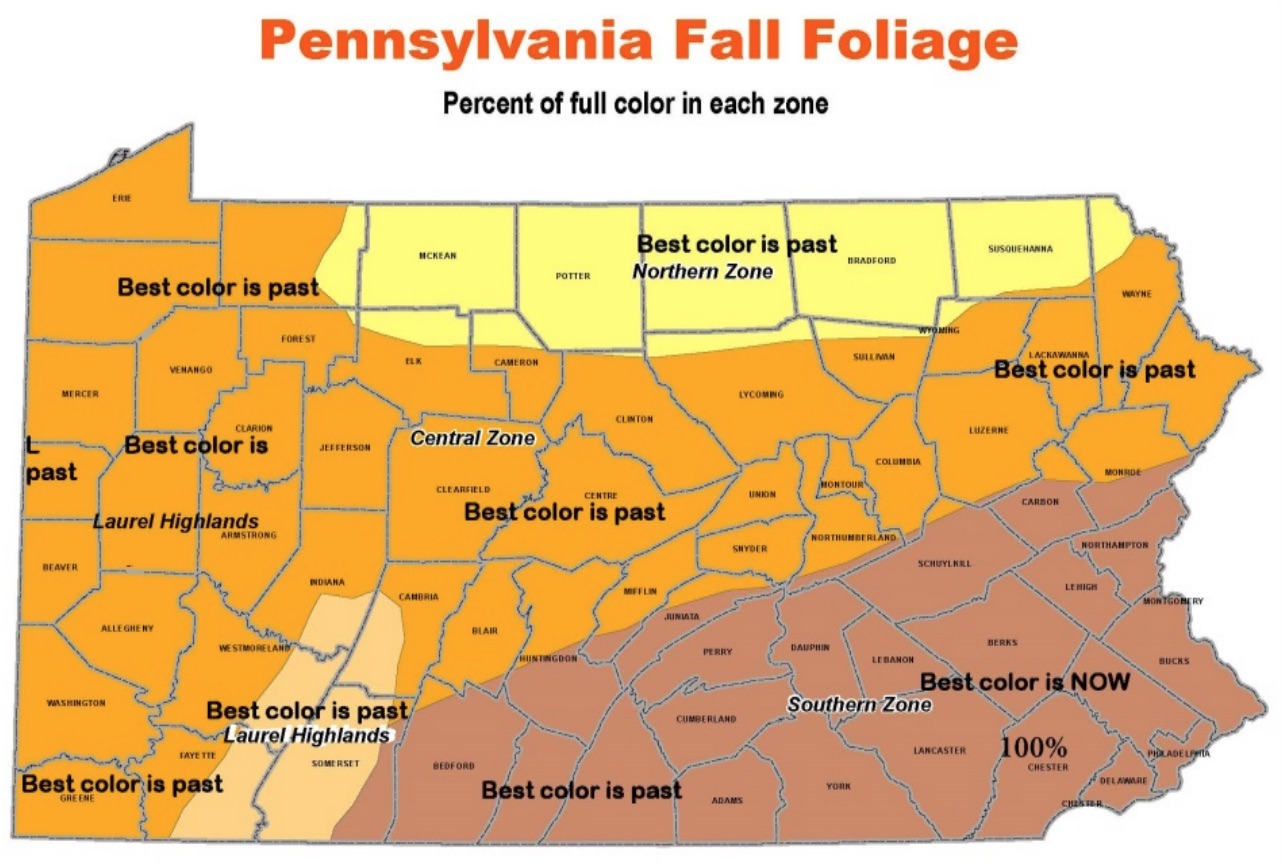 PA Environment Digest Blog: DCNR Foliage Report: Leaves Are Peaking In ...