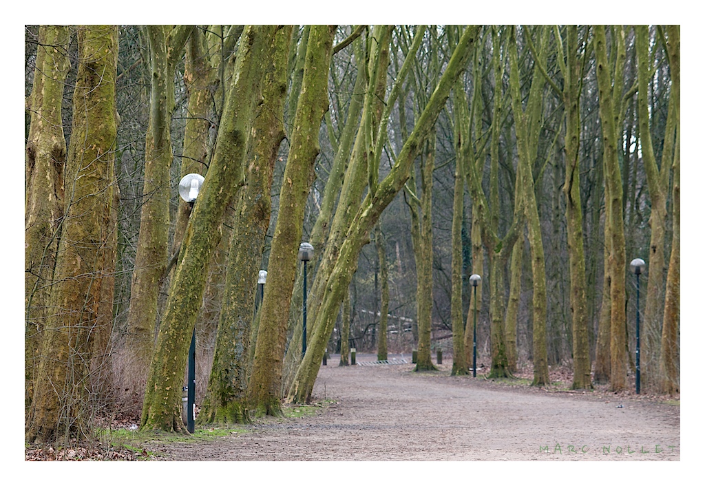 What a Wonderful World!: Op wandel naar Parc Malou