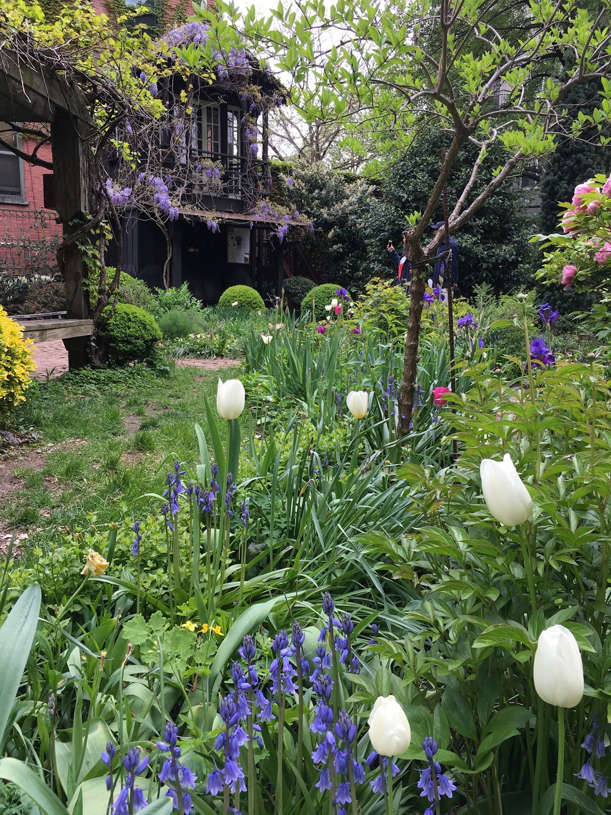 Busch Gardens Tampa Publi : Garden Orientation