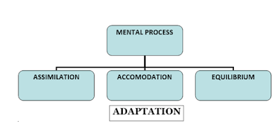 VIDYA'S PHOENIX: PSYCHOLOGY OF TEACHING AND LEARNING :: COGNITIVE ...
