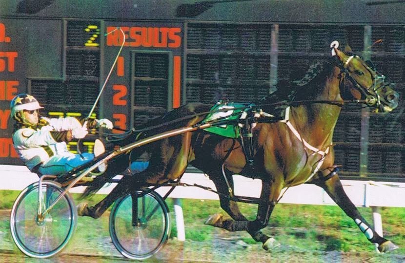 The FREDERICTON SCENE: The Greatest Horses ever developed at ...